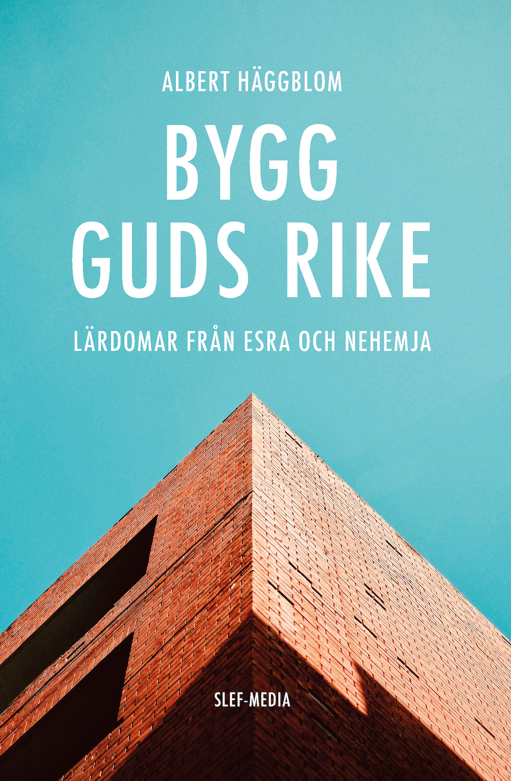 BYGG GUDS RIKE L rdomar Fr n Esra Och Nehemja BV F rlag BYGG GUDS RIKE L rdomar Fr n Esra Och Nehemja BV F rlag